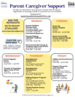 Support Groups | Parent Professional Advocacy League